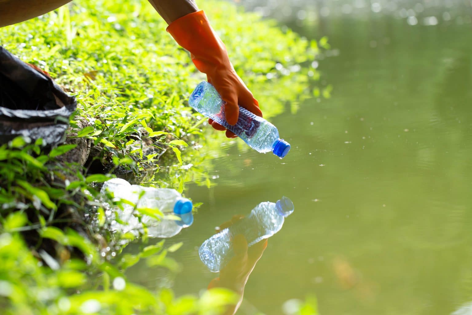 Litter Prevention - Watershed Watch